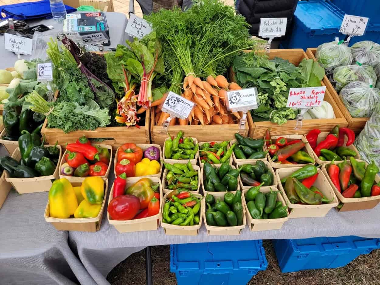 20 Best Farmers Markets in Dallas, Texas - Downtown Farmers Market