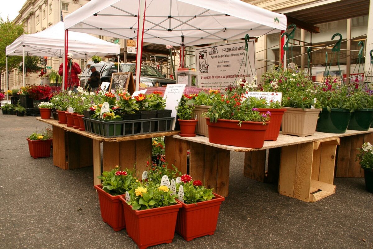 20 Best Farmers Markets in Washington DC (Including Dates, Times ...