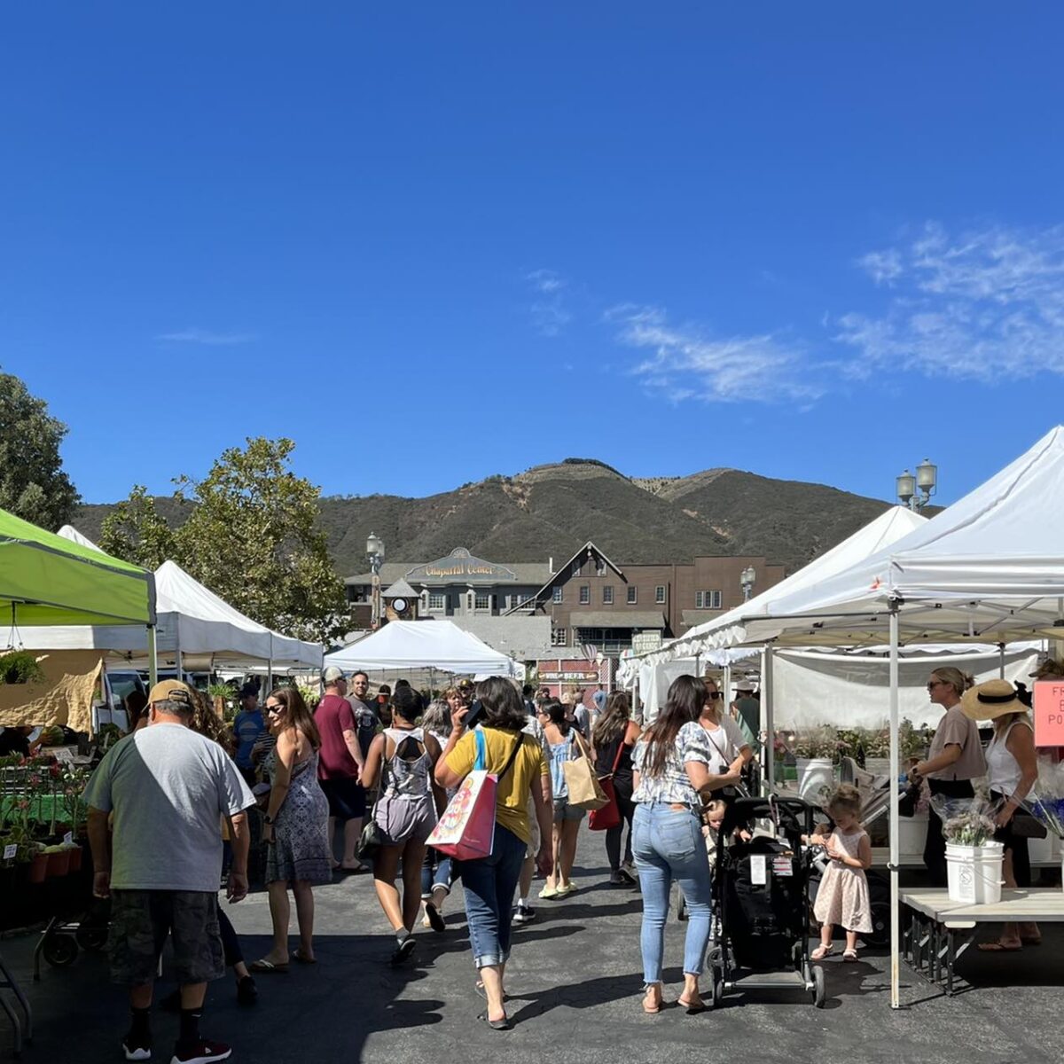 30 Best Farmers Markets in California (Includes Times, Dates ...