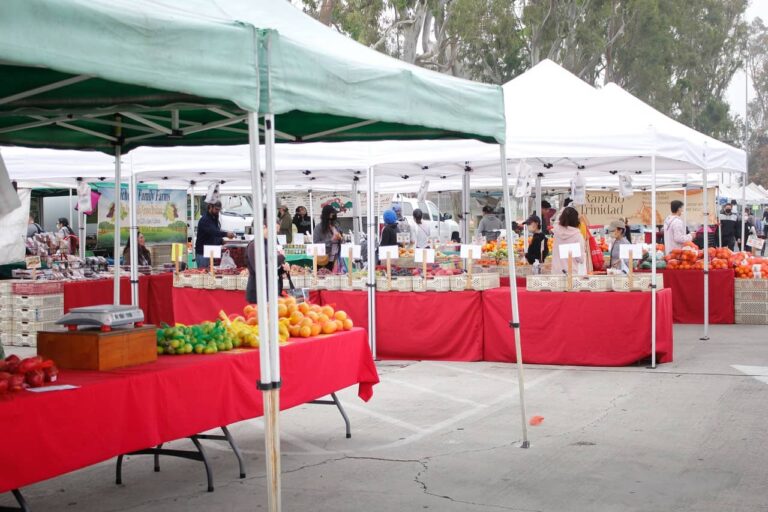 30 Best Farmers Markets in California (Includes Times, Dates ...