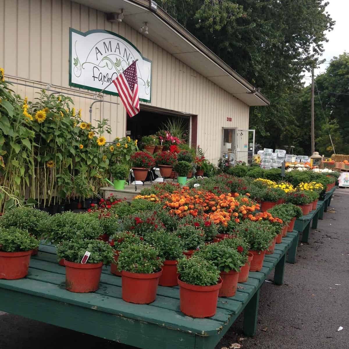 10 Best Farmers Markets in Rochester, NY To Visit This Year - Downtown ...