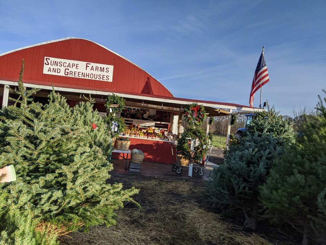 10 Best Farmers Markets in Rochester, NY To Visit This Year - Downtown ...